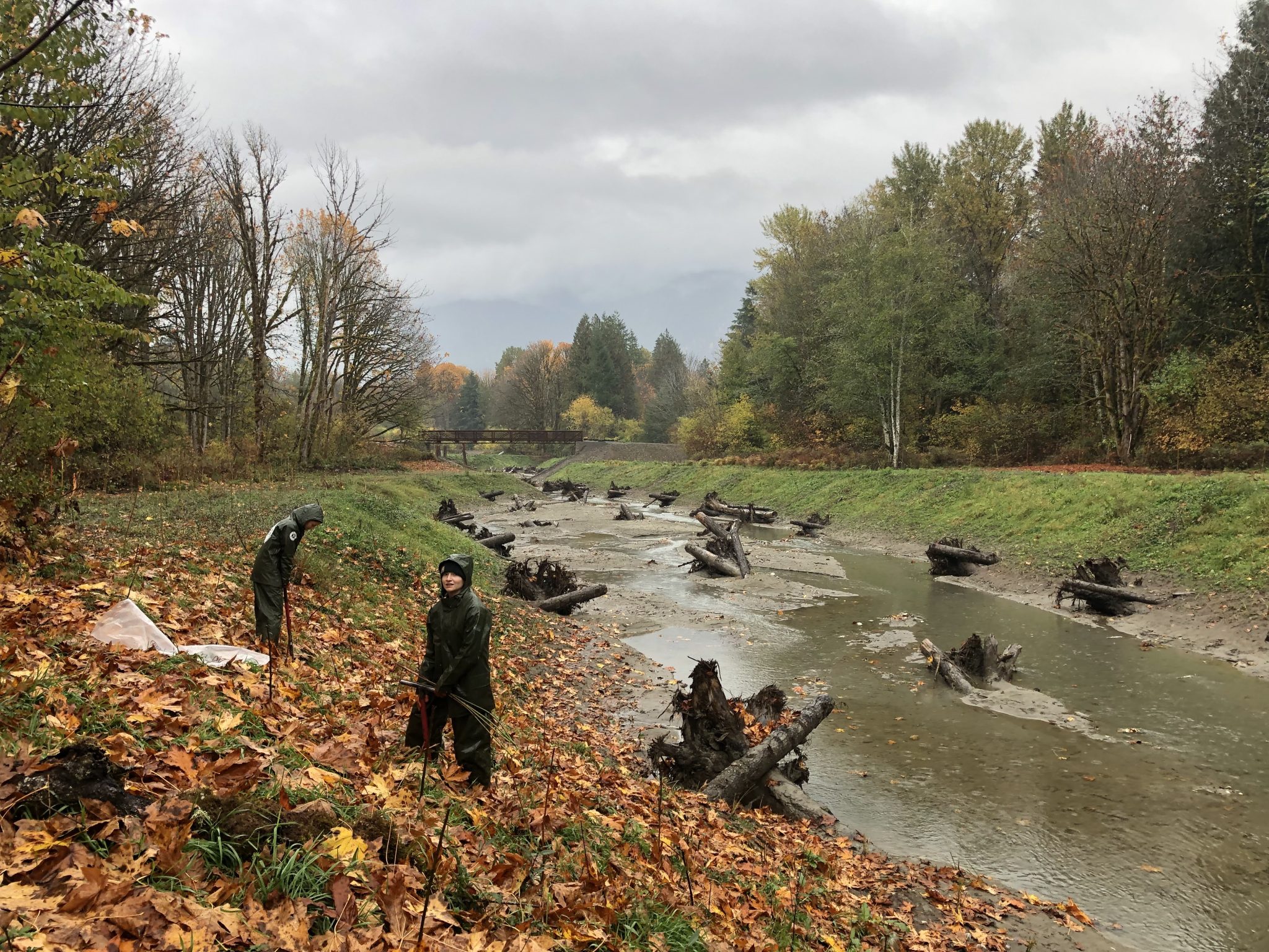 Stories from the EarthCorps Yearbook - EarthCorps