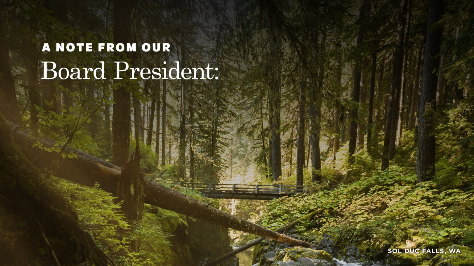 Important Announcement: Transitioning to a New Chapter at EarthCorps ...